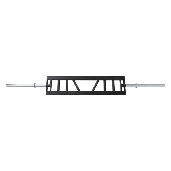 Swiss Bar 700Lb capacity - Defiant Strength
